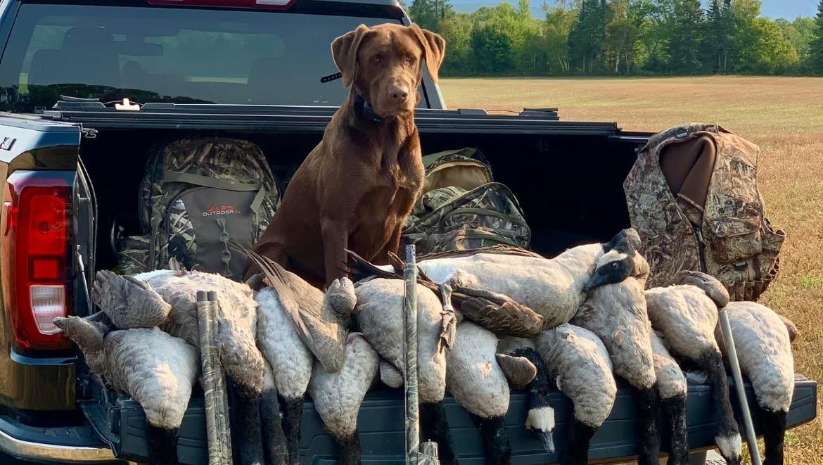 Fundraiser for Marc Antoine Dion by Dominic Francoeur : Marc Antoine ...