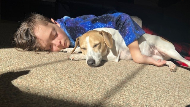 Fundraiser by Nancy Foss : Veterinary Bills to Save Cheeky