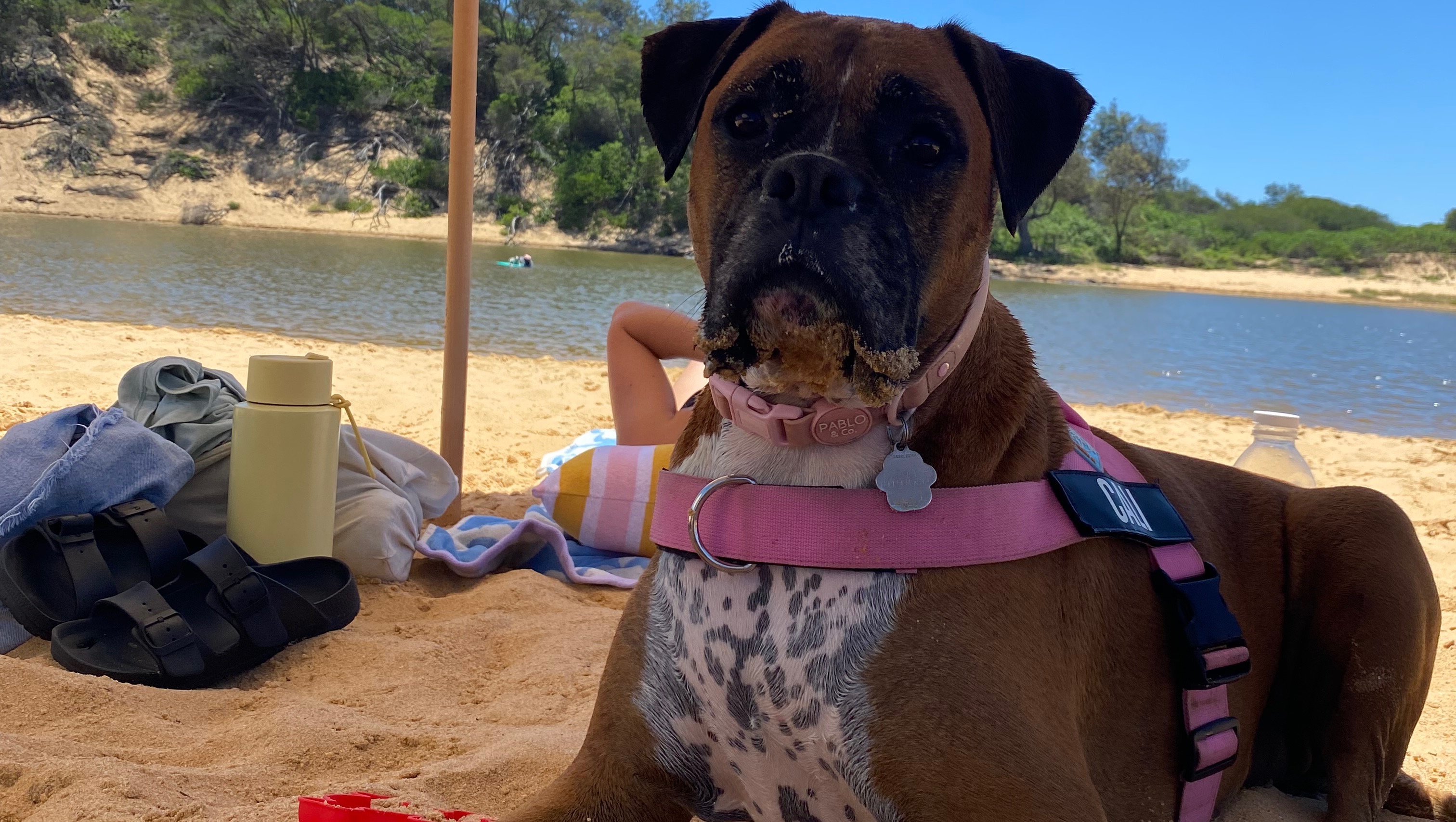 Fundraiser for Connor Noble by Beth Lowe : Cali girl needs surgery