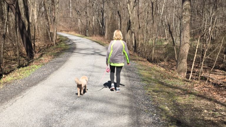 Fundraiser by Kristen and Beth Rose : In Memory of JoLynn Rose: The ...