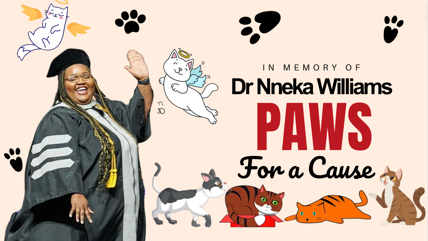 Fundraiser by Chima Egbuzie : Honoring the Legacy of Dr. Nneka Williams