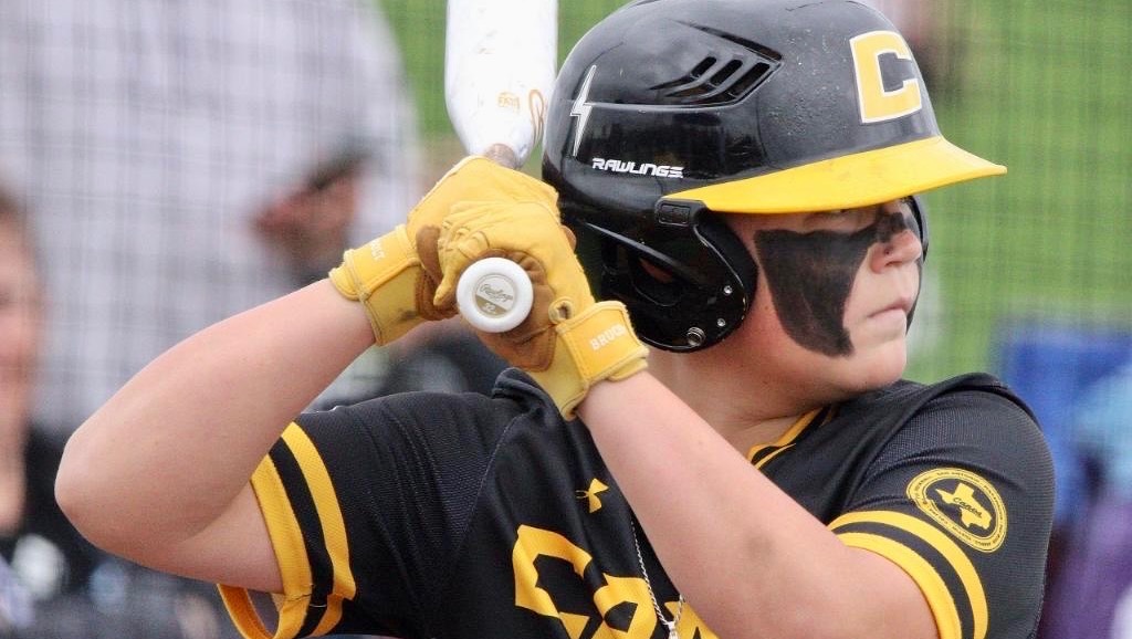 Fundraiser by Lynn Smith : Help Charlie’s Team Swing For the ...