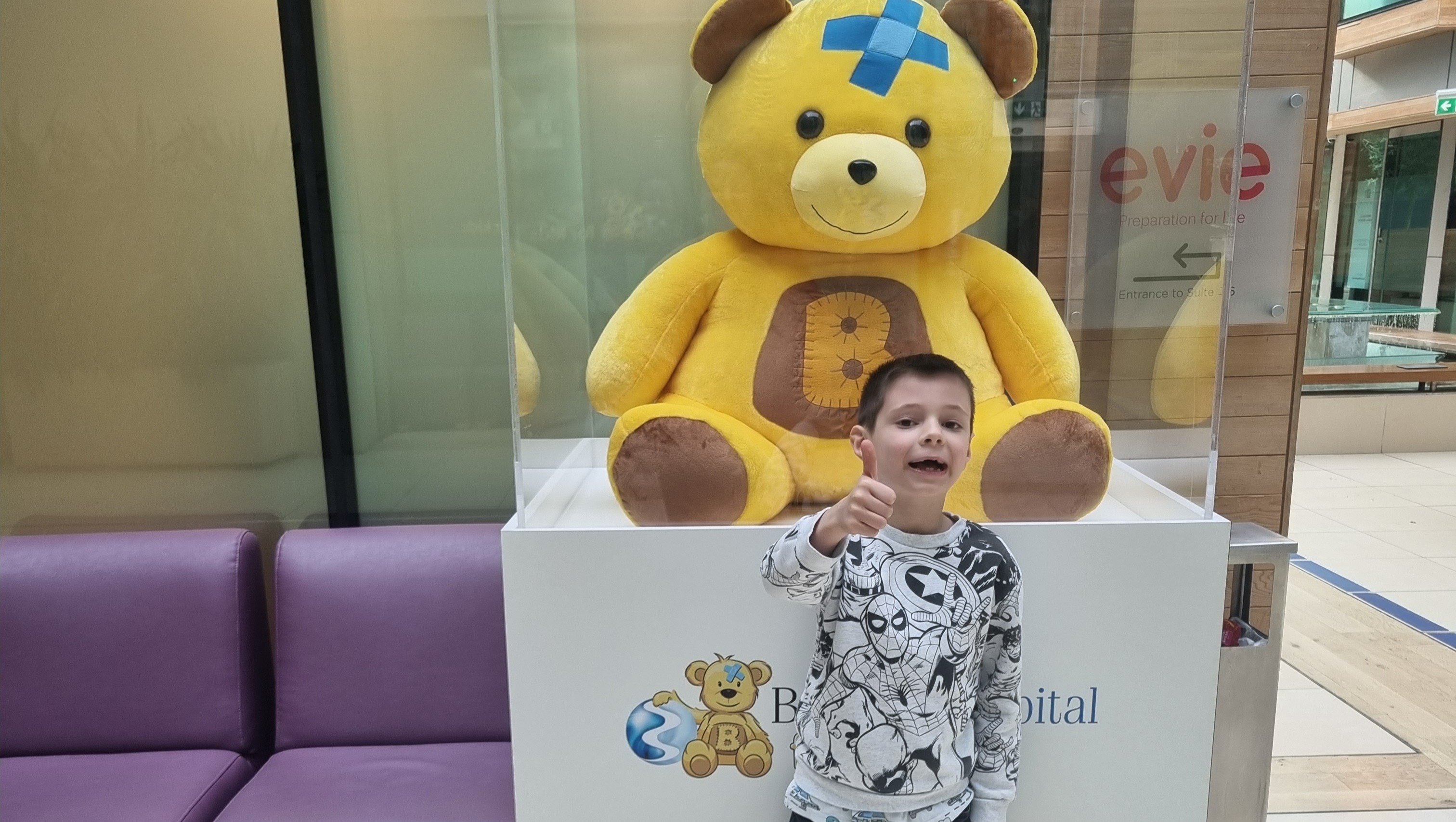 Fundraiser by Susan Quill : Teddy's Aids