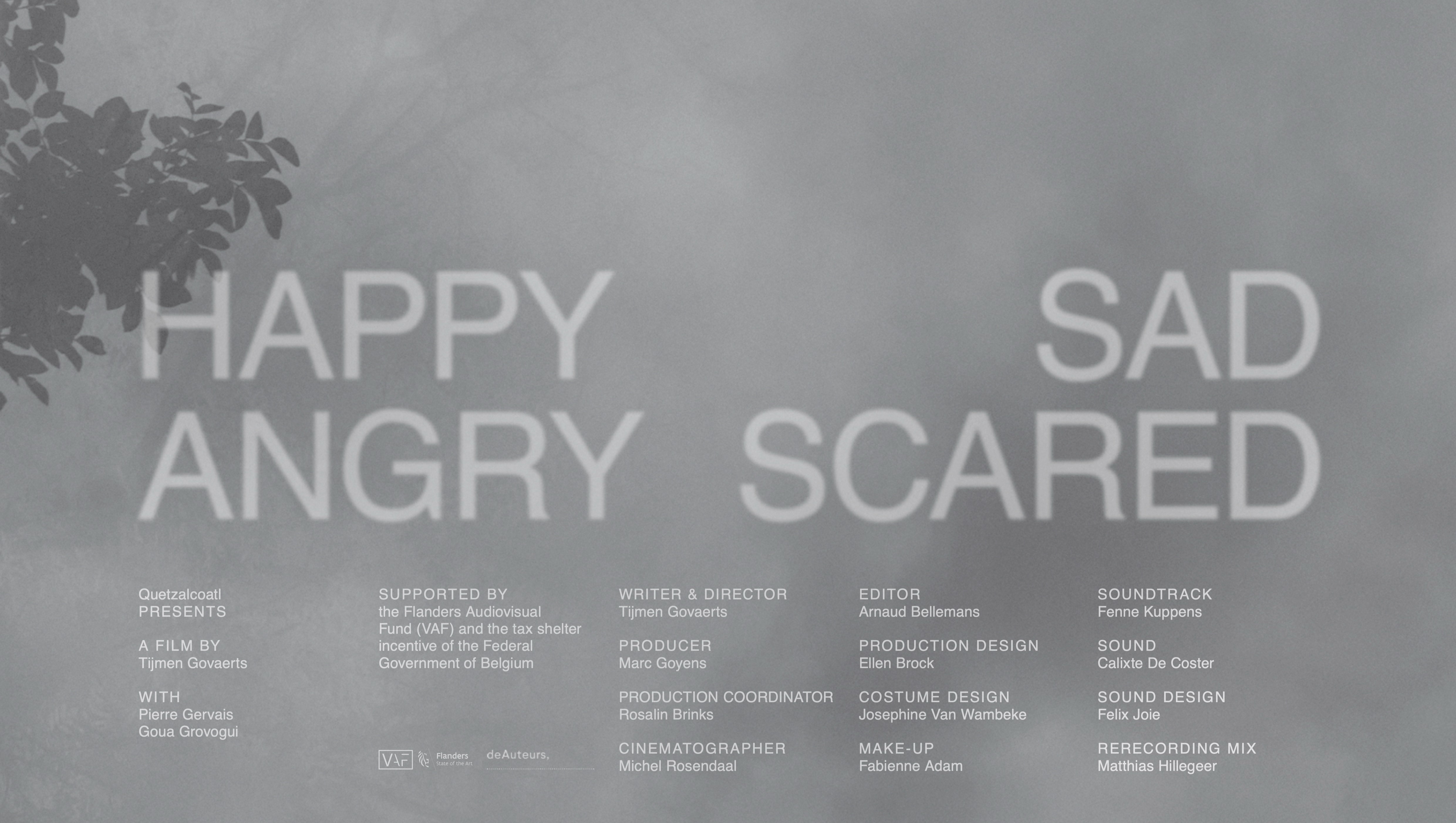 Fundraiser by Marc Goyens : KORTFILM - happy sad angry scared