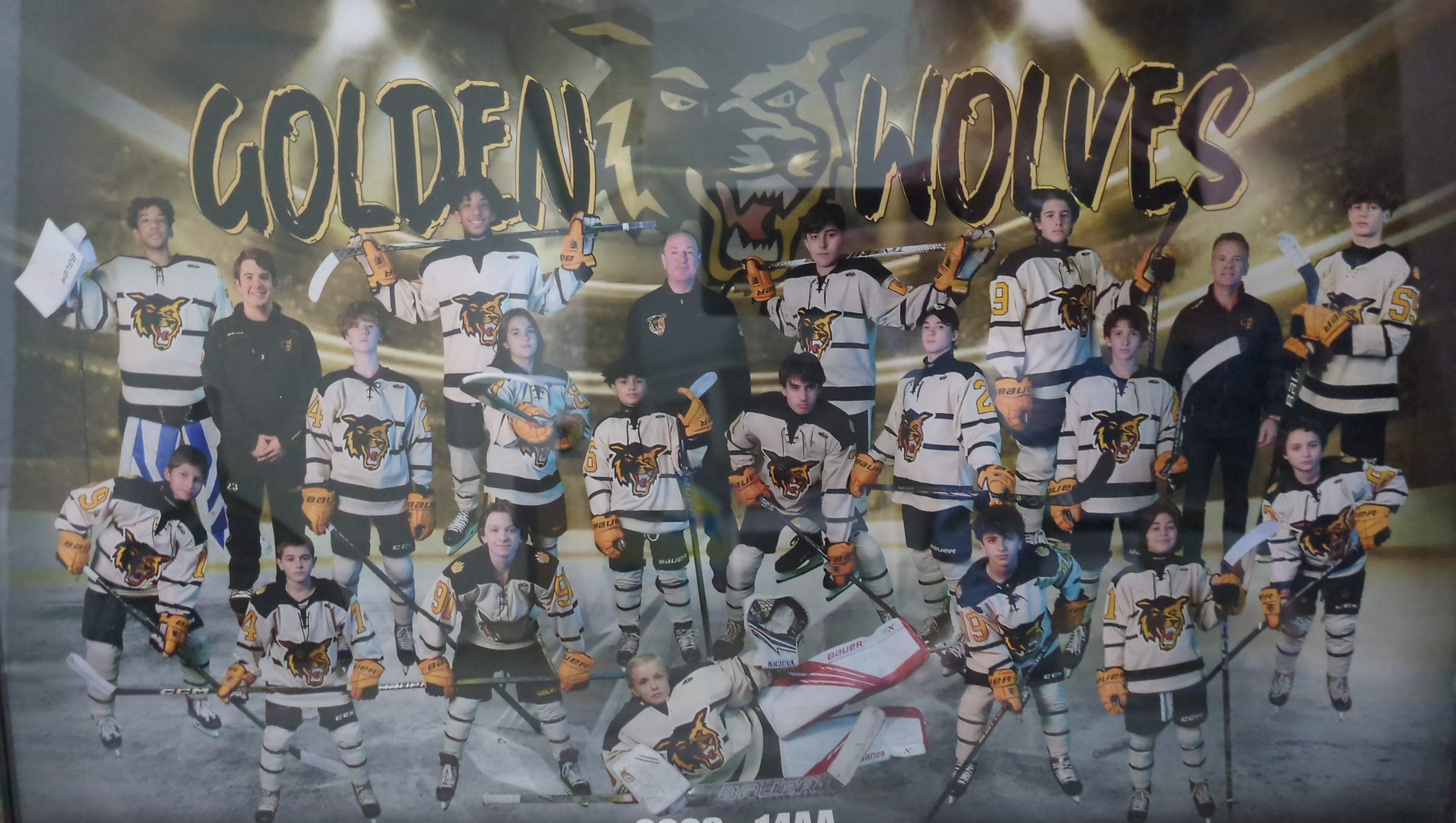 Fundraiser by Charlene Nicholson : Stand with Coach Vlad in His Time of ...