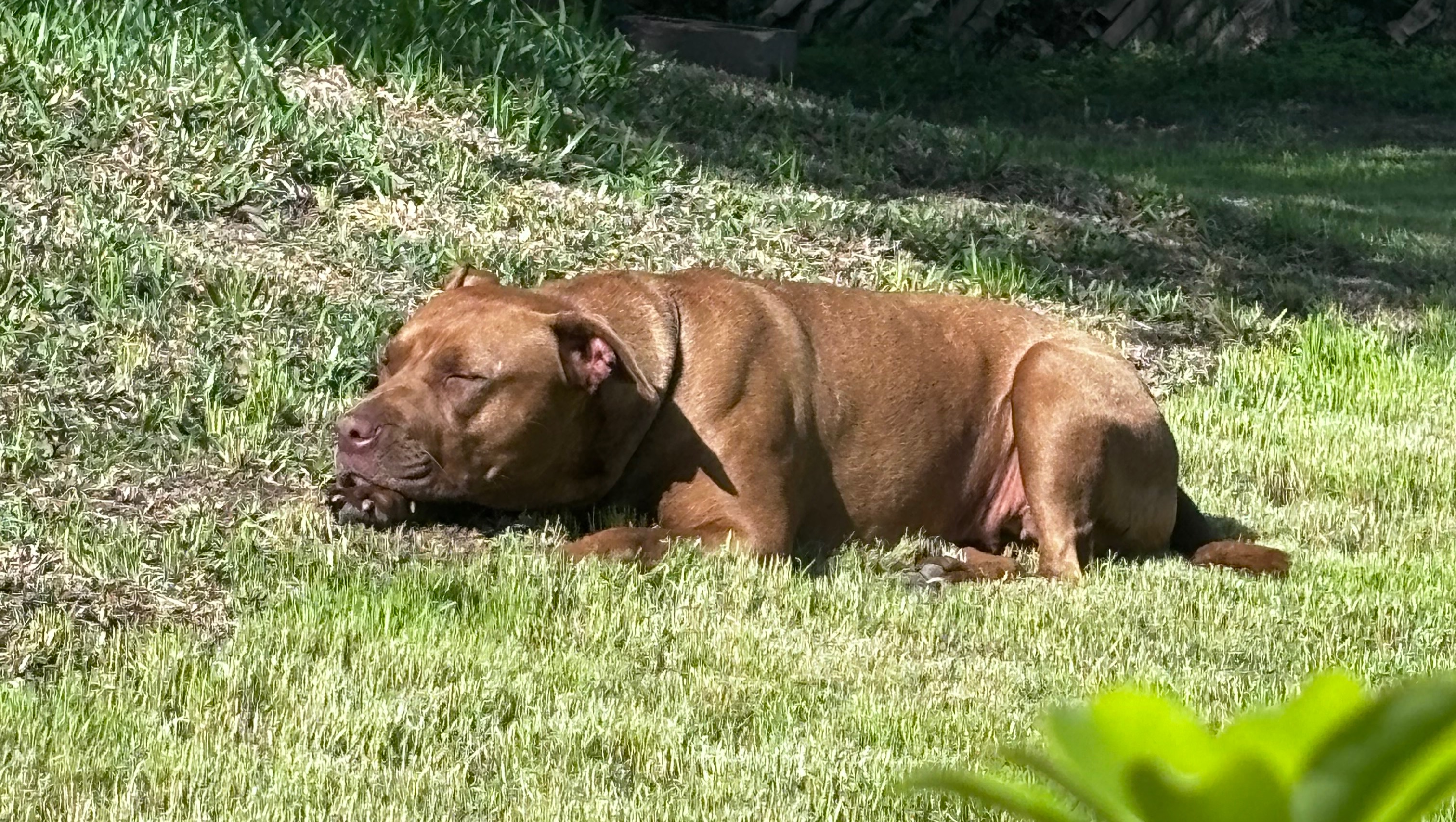 Fundraiser for Julie Payton by Haleigh Carter : Please help donate for ...