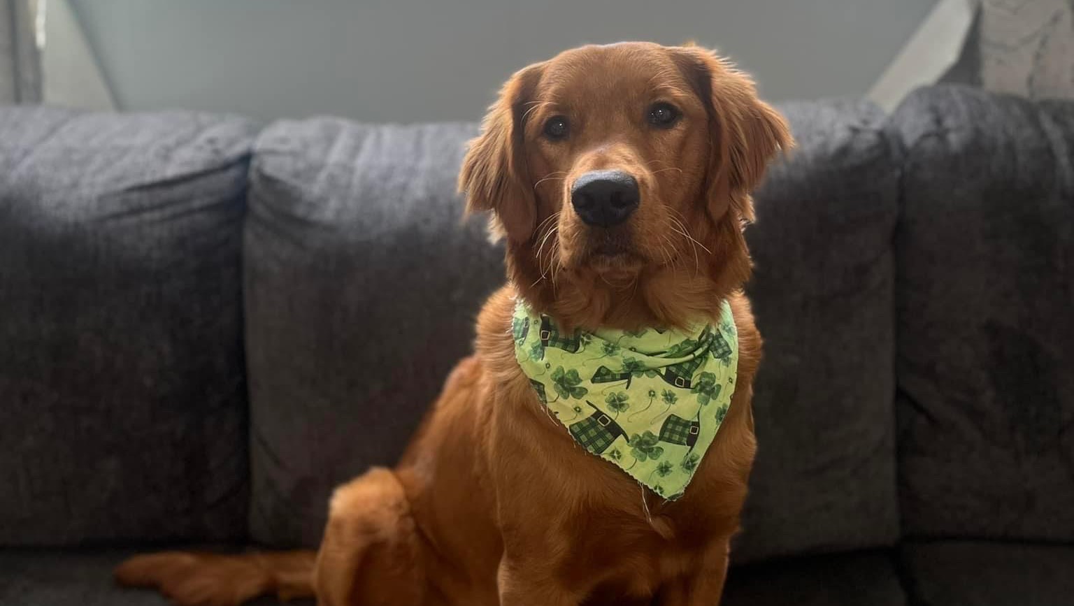 Fundraiser for London Taylor by Ashley Philburn : Hospitalization bills ...