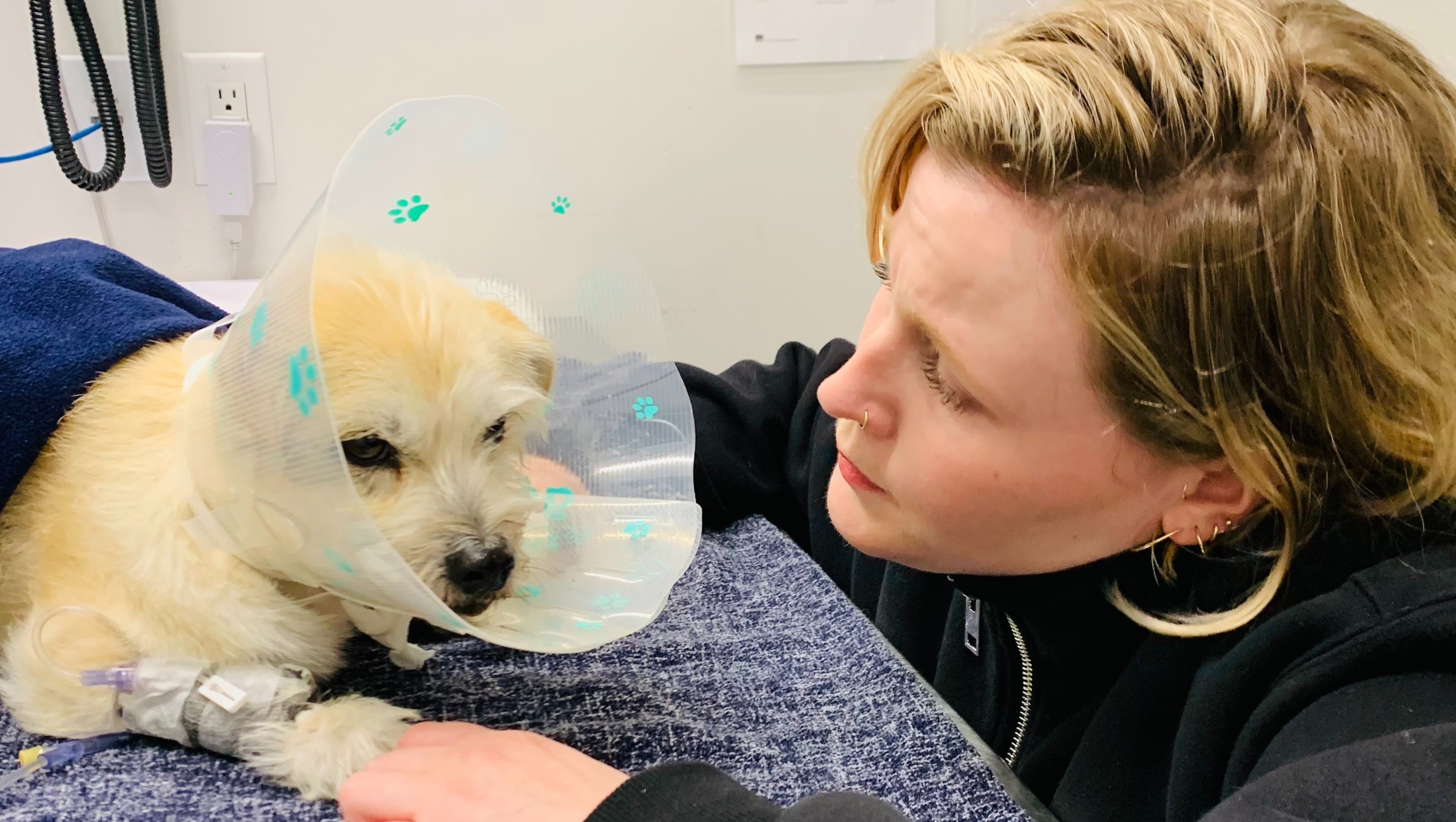 Fundraiser for Ruth Holland by Rian Eygenraam : Help Teddy Walk Again