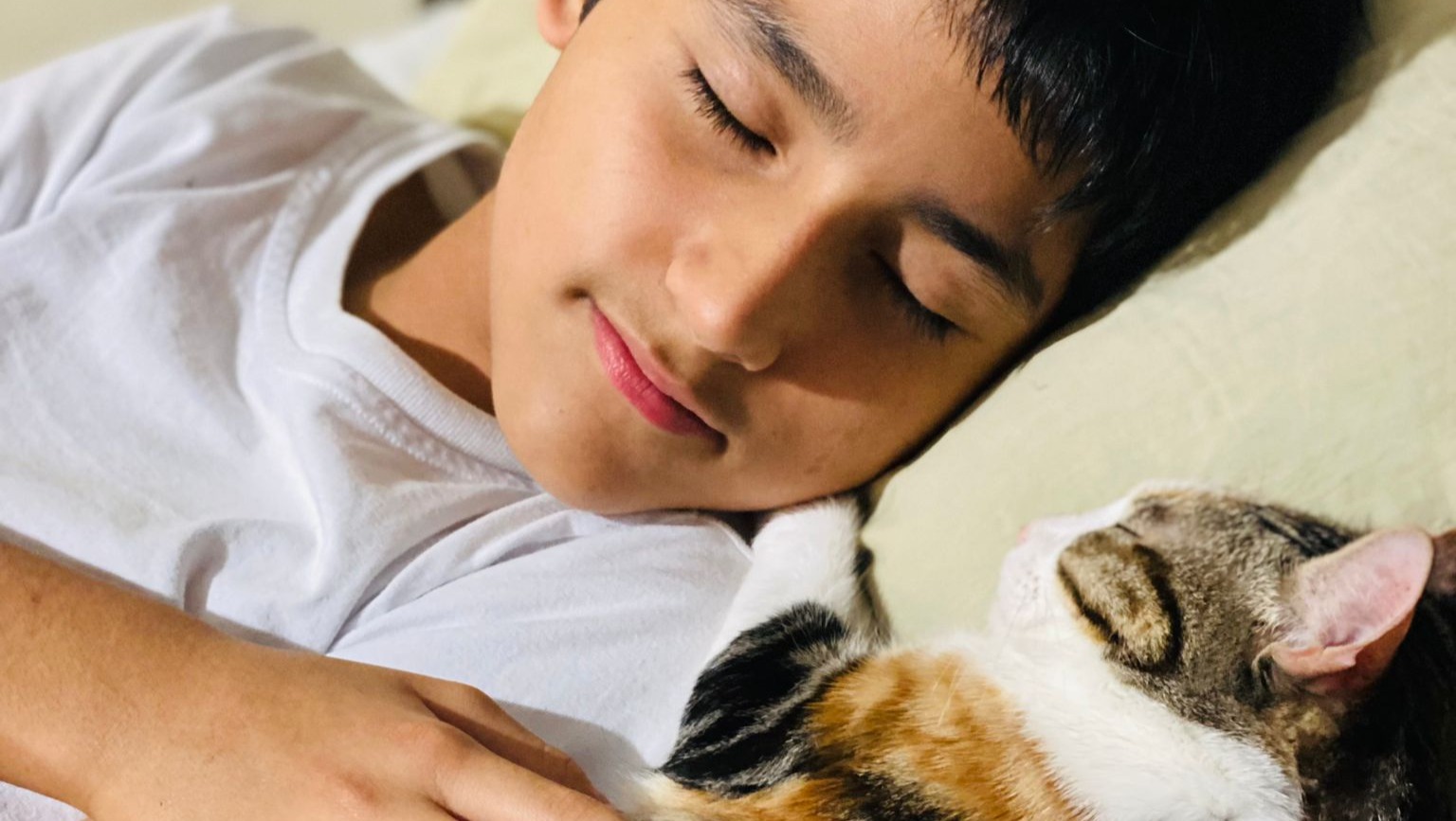 Fundraiser by Vanessa Villena : Help Misha continue to be the light in Sebastian's life