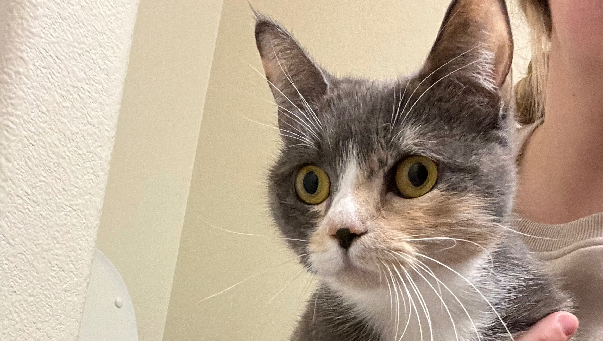 Fundraiser by Travis Bridgers : Join Bloom's Fight for Recovery