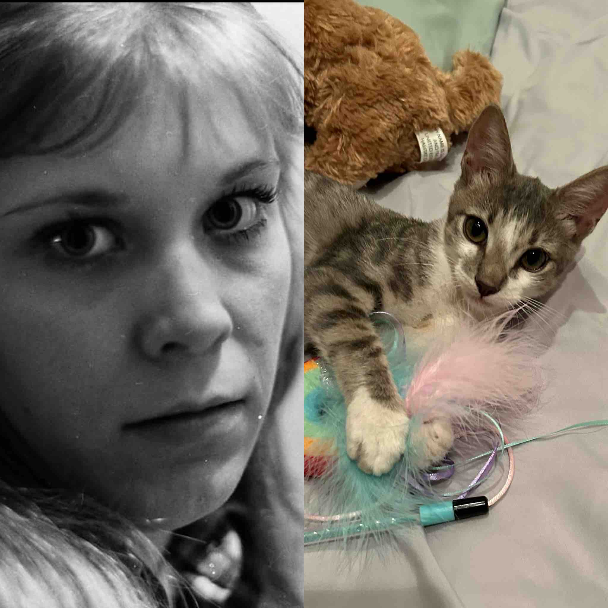 Fundraiser by Noreen Ryan : Antoinette's Cremation and Phyllo's Surgeries