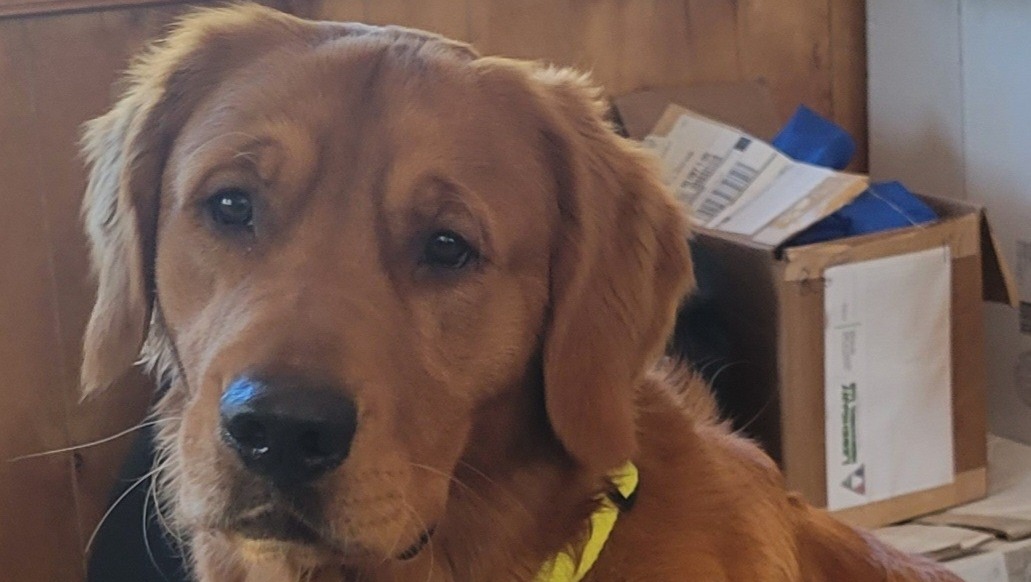 Fundraiser for Randi Kennedy by Michelle Cuthbert : Join the Fight to ...