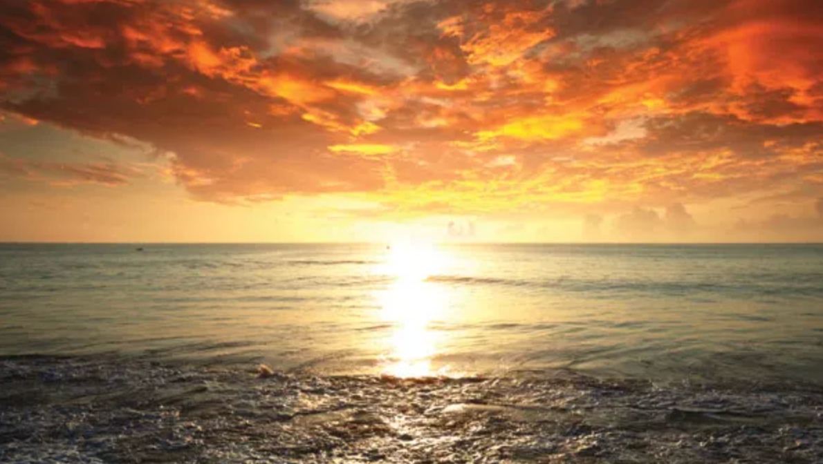 Fundraiser for Robyn Canepa by Dani Gelfand : Robyn Canepa on behalf of ...