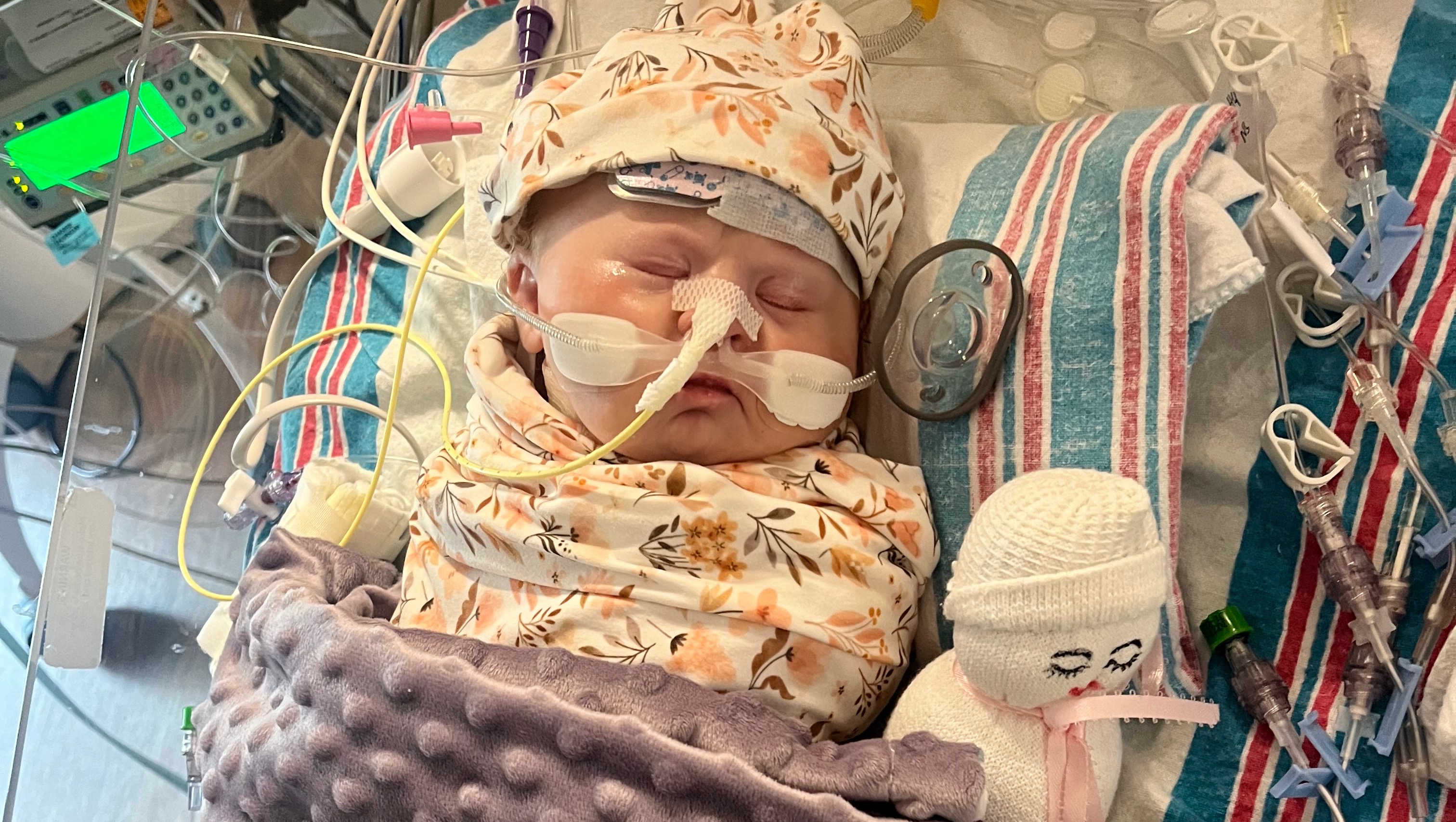 Fundraiser by Jacqueline Hatchett : Support Violet Mae's Heart Journey
