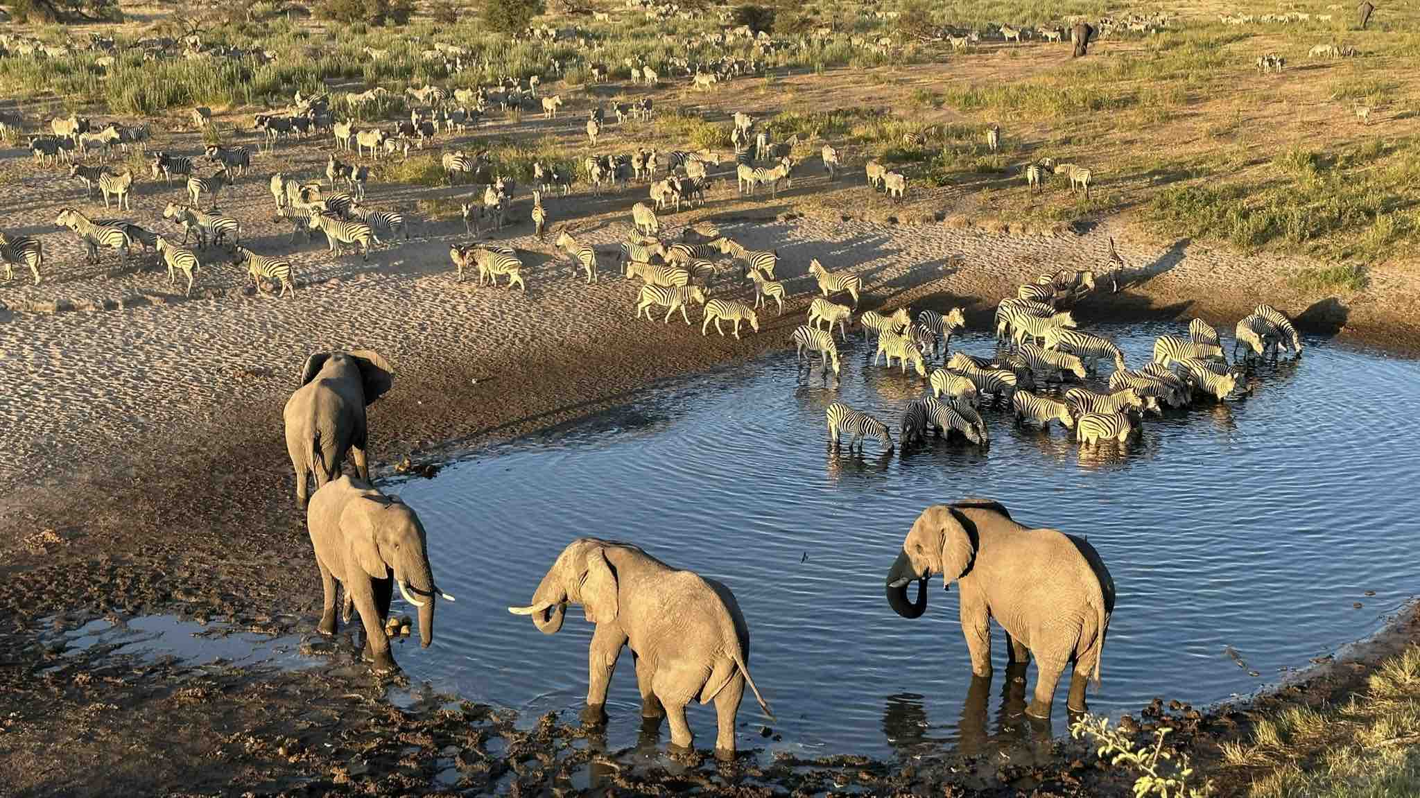 Fundraiser by Veronica Villafañe : Drought relief for Southern Africa’s ...