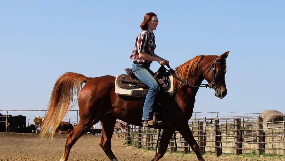 Fundraiser for Sheri Muhlbauer by Jamie O'Connor : Savig medical and ...