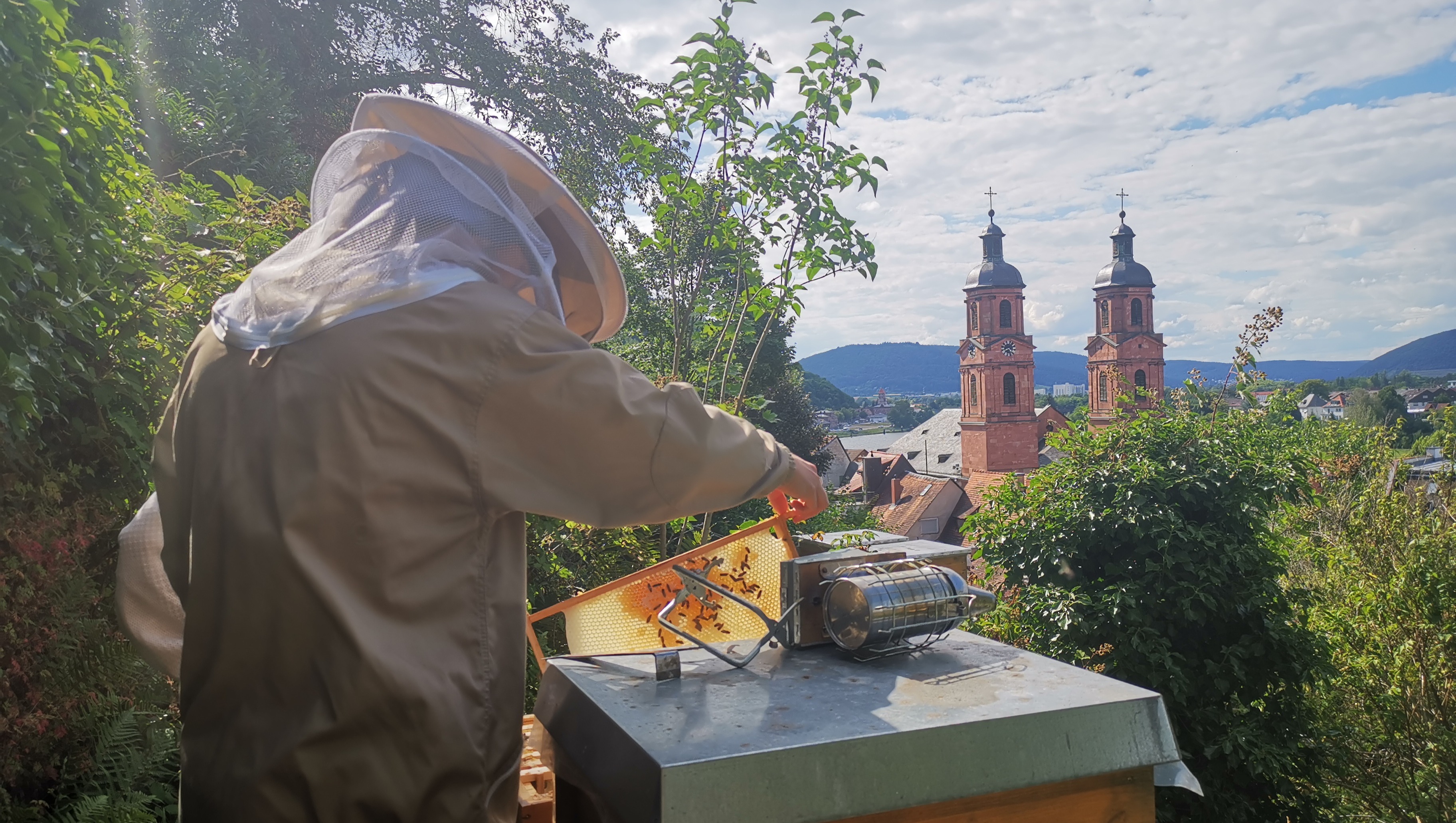 Fundraiser for Daniel Neuberger by Sandra Kern : #einHerzfürBienen: 1 ...