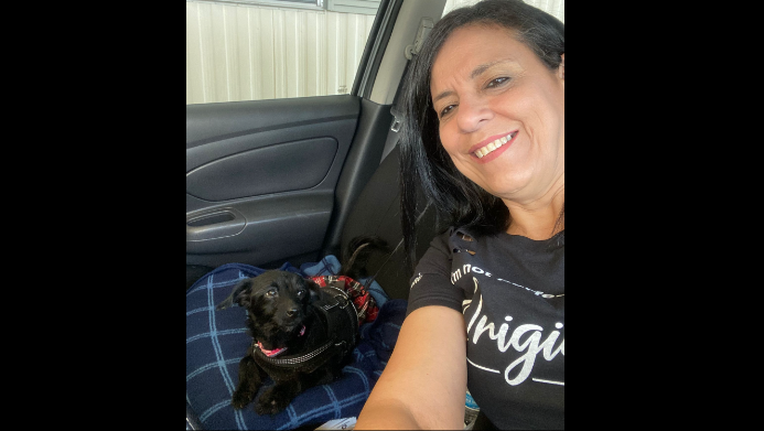 Fundraiser by Maribel Caban : Cirugía de emergencia de mi perrita de ...