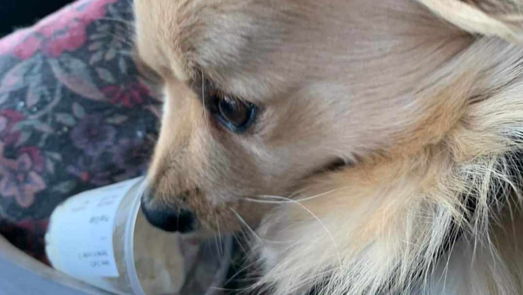 Fundraiser by Rhonda May : RB Beez Car Repair