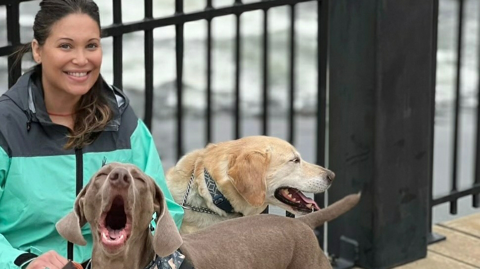 Fundraiser by Amanda Householder : Help Jane & Pups Escape Life ...