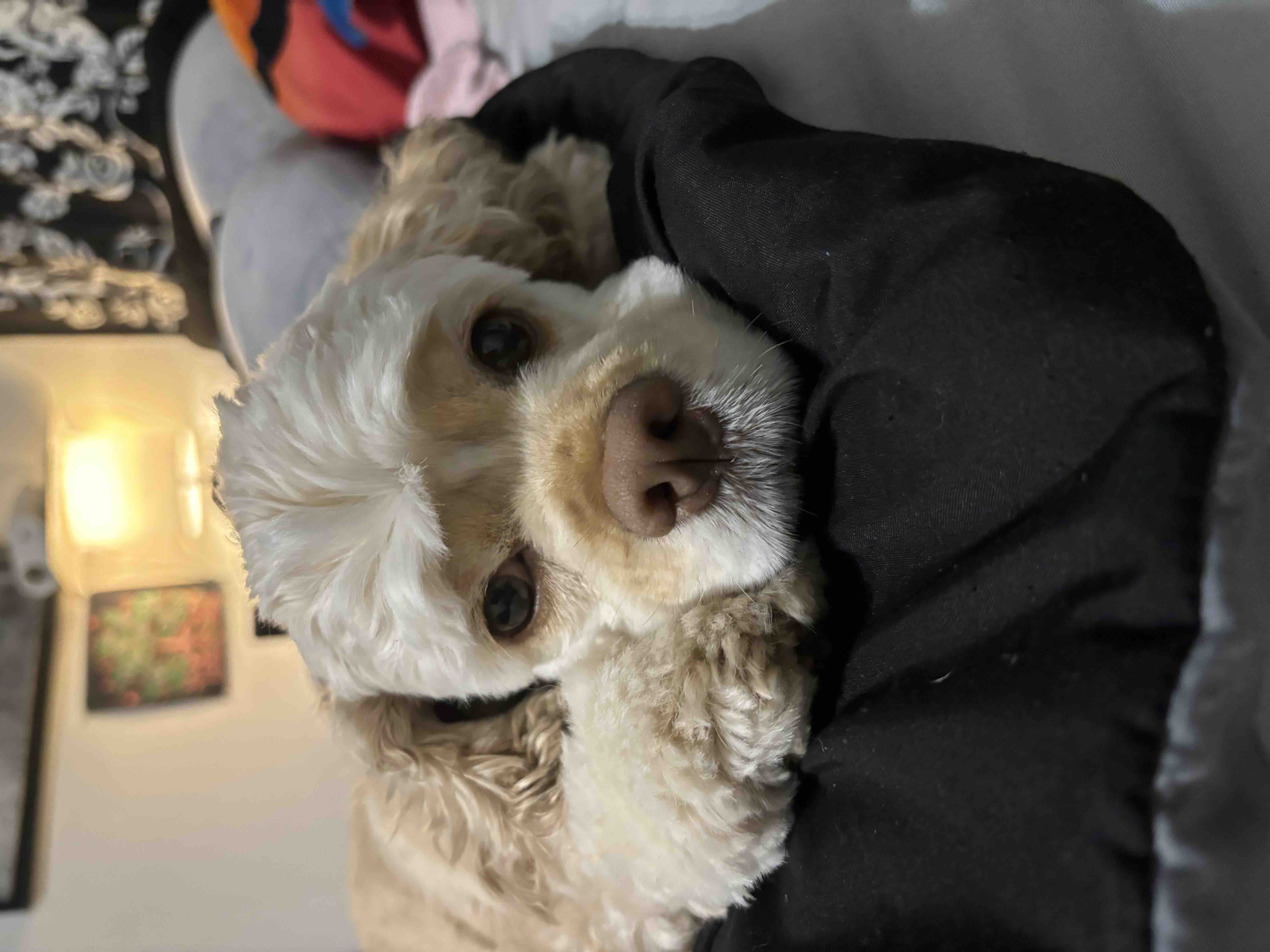 Fundraiser for Riley Bryan by Jennifer Gutierrez : Support Tatum’s ...