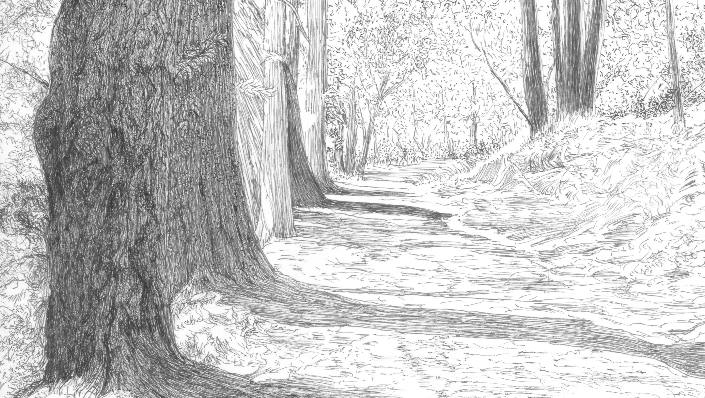 Fundraiser by Jack Tipple III : Art Show Entry Fees, Prints and Framing