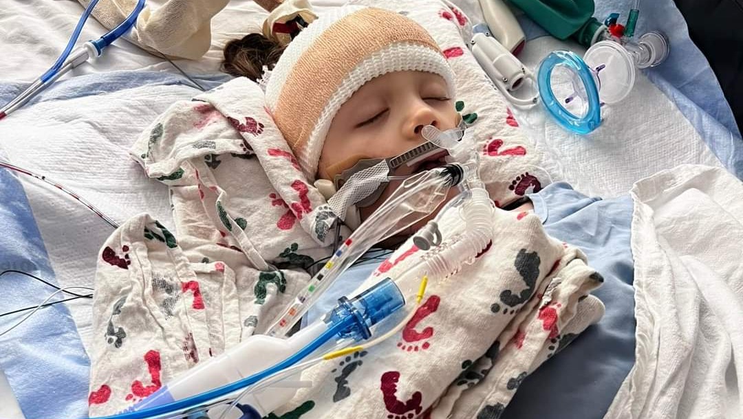 Fundraiser for Nicole Tolliver by Rachel Steuer : Stand with the ...