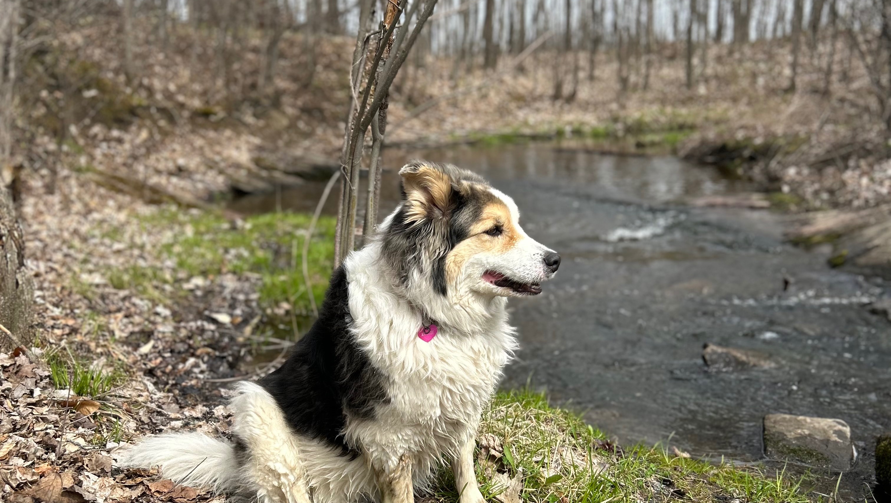 Fundraiser by Jessica Leroux : Maggie’s Surgery