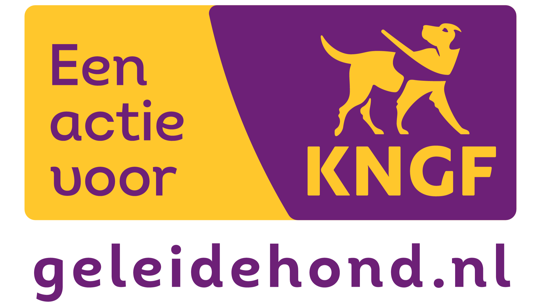 Fundraiser by Simone Broekhof : Help Lucas met een donatie voor het KNGF