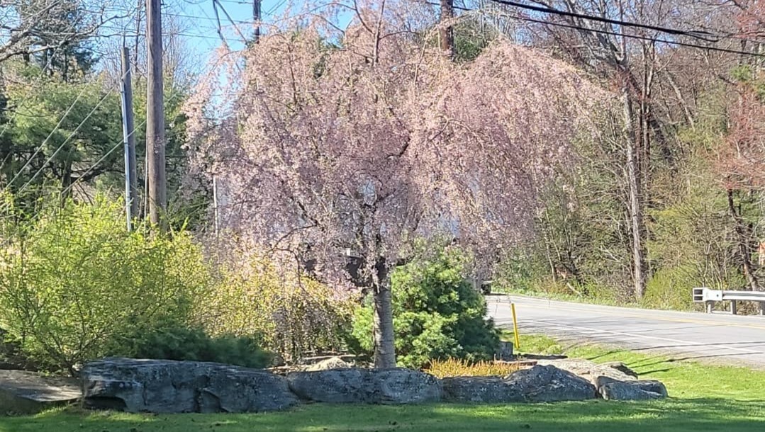 Fundraiser by Danielle Woolley : Single mom in crisis