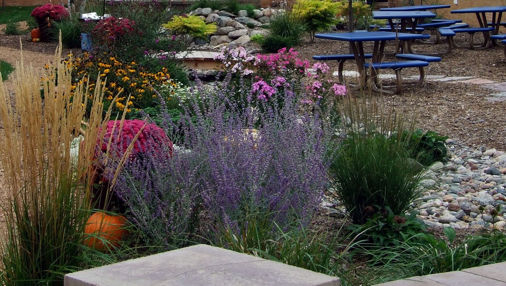 Fundraiser by AE Cross School Council : Support AE Cross Students ...