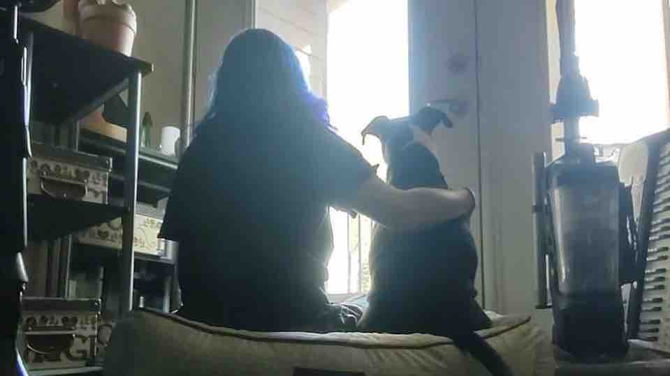 Fundraiser by Crystal Proulx : In memory of noodle