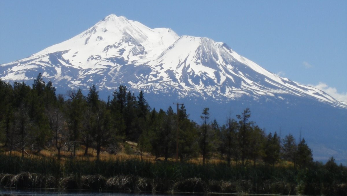 Fundraiser for Beth Machado by Tess and Megan Miller : Support Mike ...