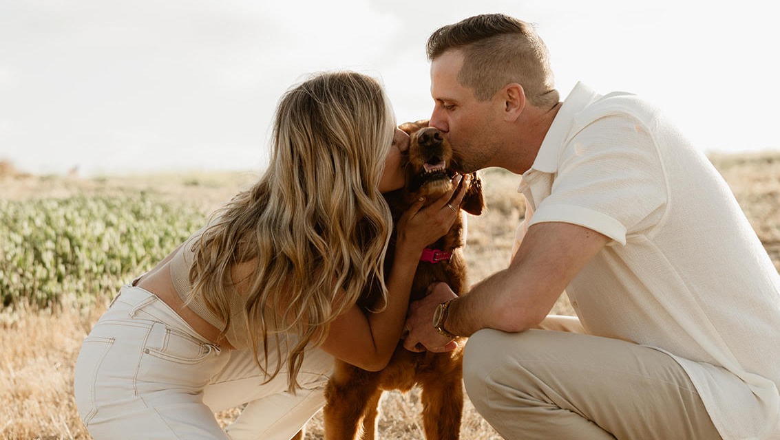 Fundraiser for Rachel herndon by Rebecca Frota : Stella's Veternarian Bills