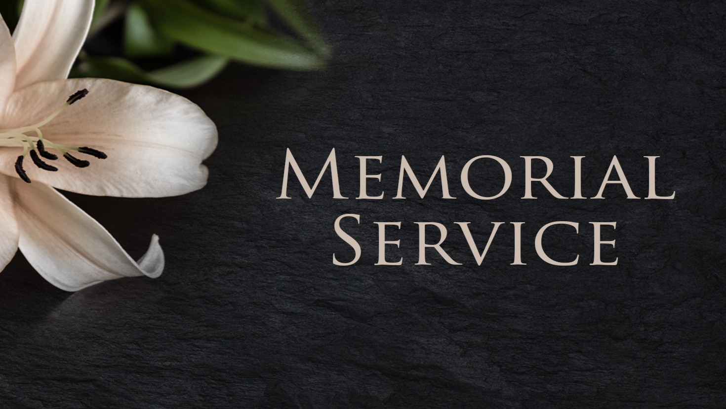 Fundraiser by Steven Purdy : Lisa Stephenson