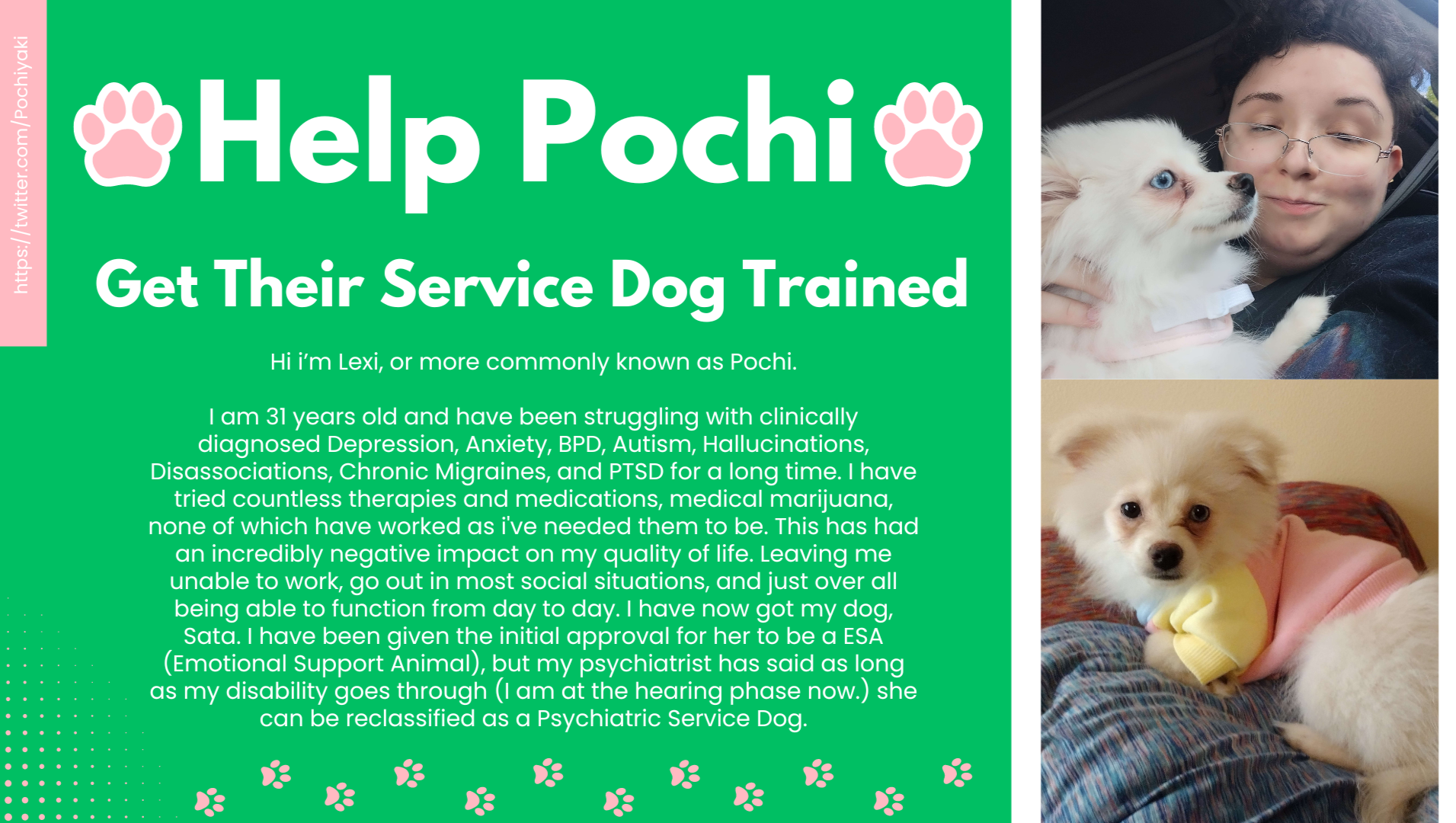 Fundraiser by Lexi Young : Help Pochi Get Their Lifesaving Service Dog ...