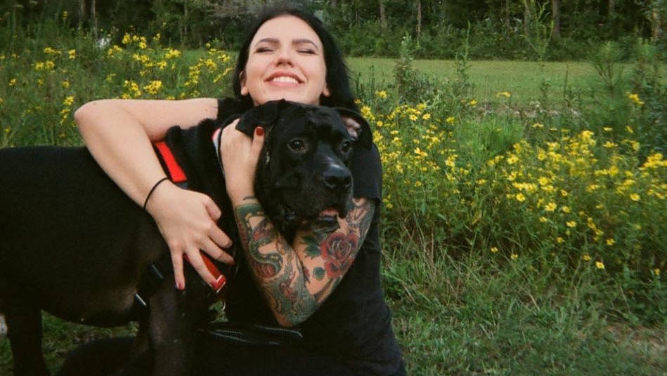 Fundraiser by Allison Natali : Help Bowie Fight His Sudden Illness