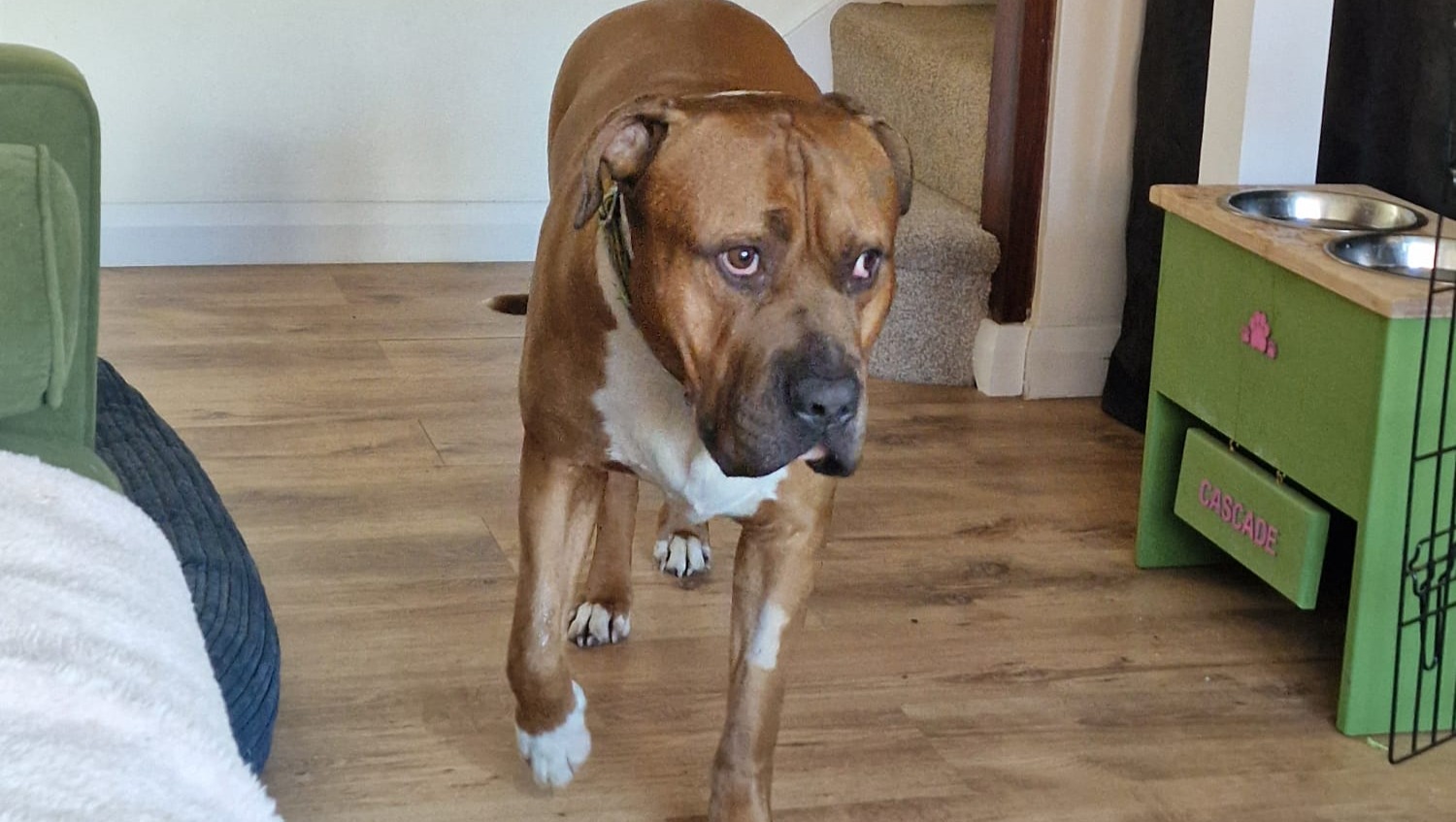 Fundraiser for maxine griffiths by DEBORAH MAYO-SAUNDERS : Update ...