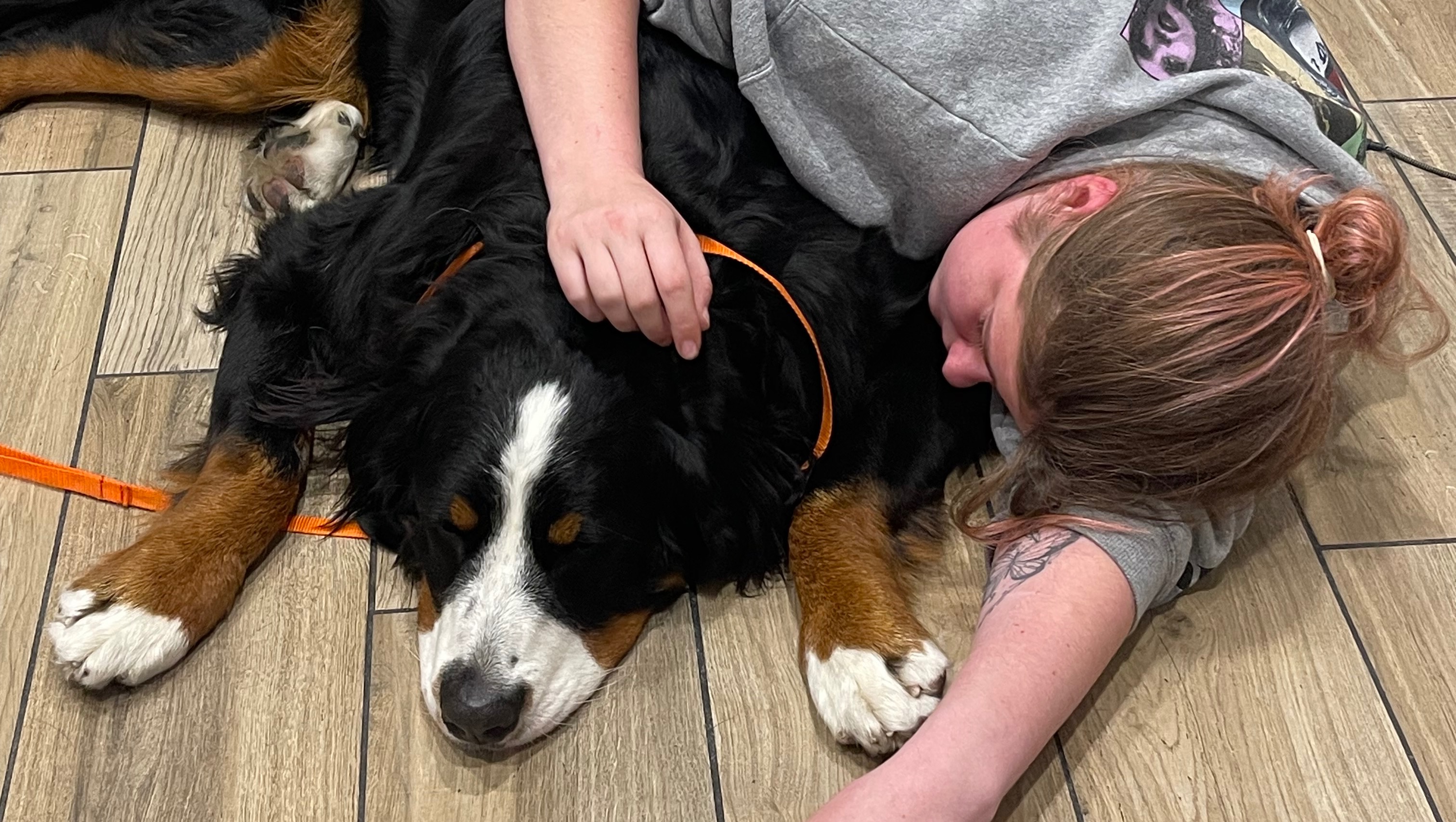 Fundraiser by Amy Skipper : Help Amelia Get a Service Dog Prospect