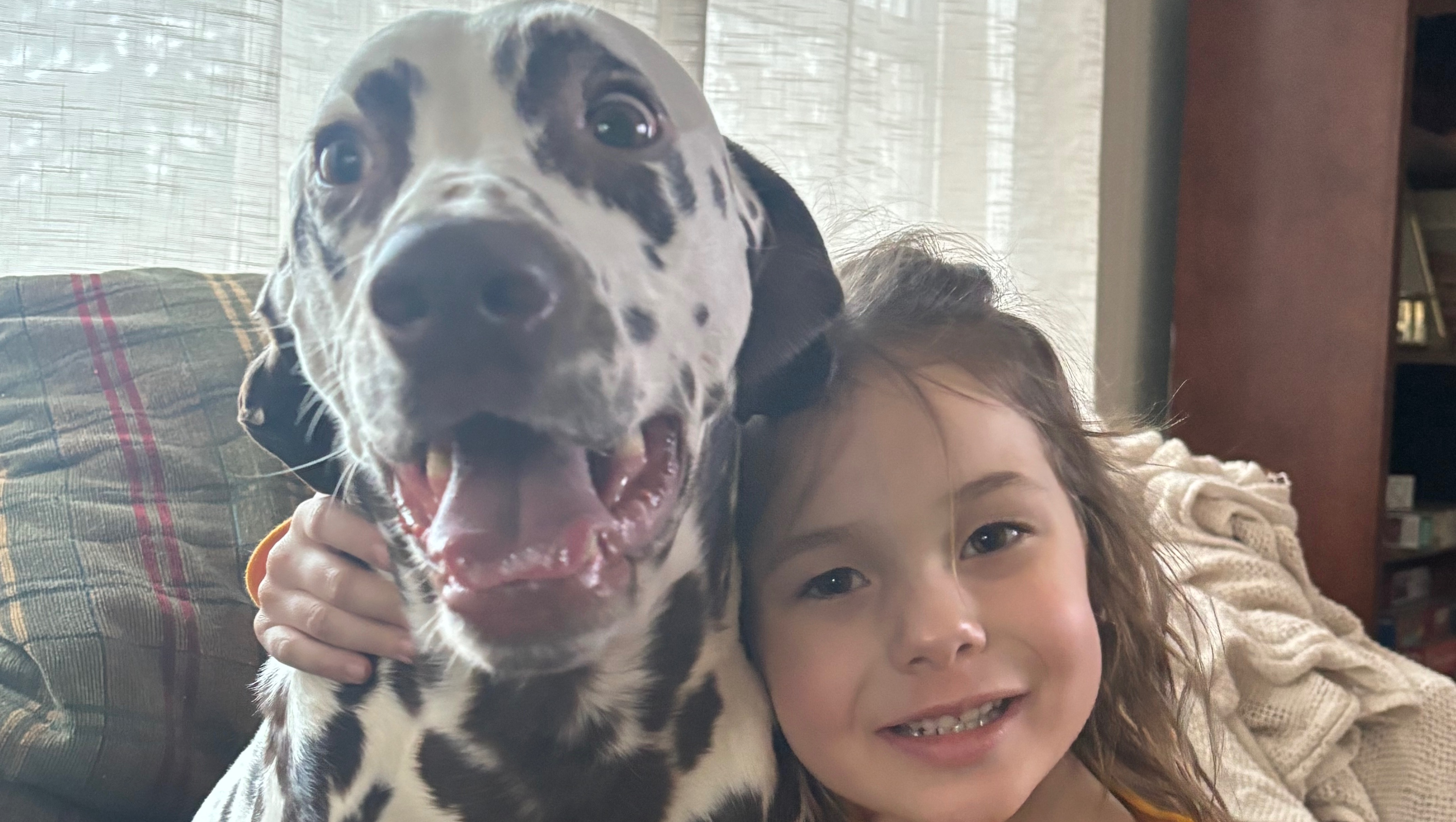 Fundraiser by Nelleke Langdon : Help Peanut get surgery