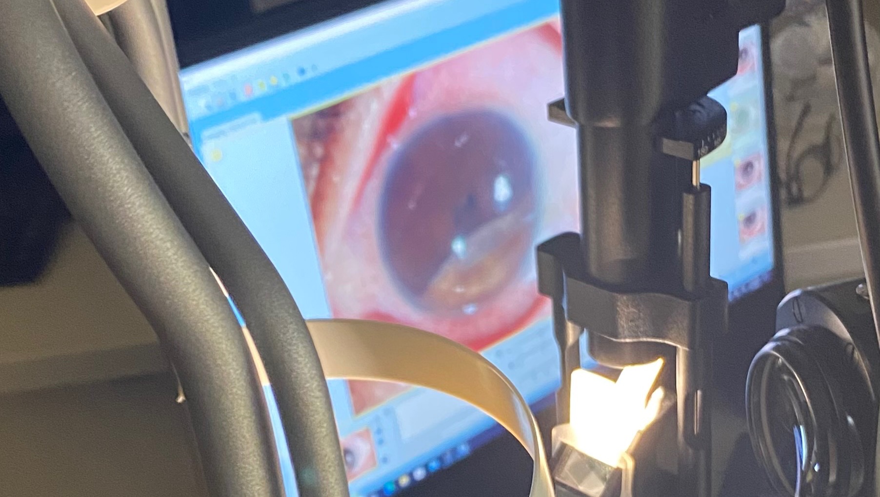 Fundraiser by Julia Aleman : Support Jordan's Journey to Sight