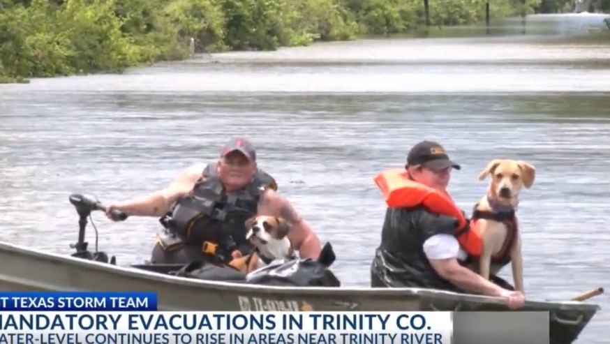 Fundraiser by Amy Eilers : Unable to return home