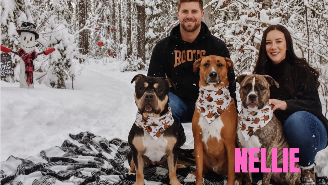 Fundraiser for Eric Bennett by Christine Gorman : PLEASE HELP SAVE NELLIE