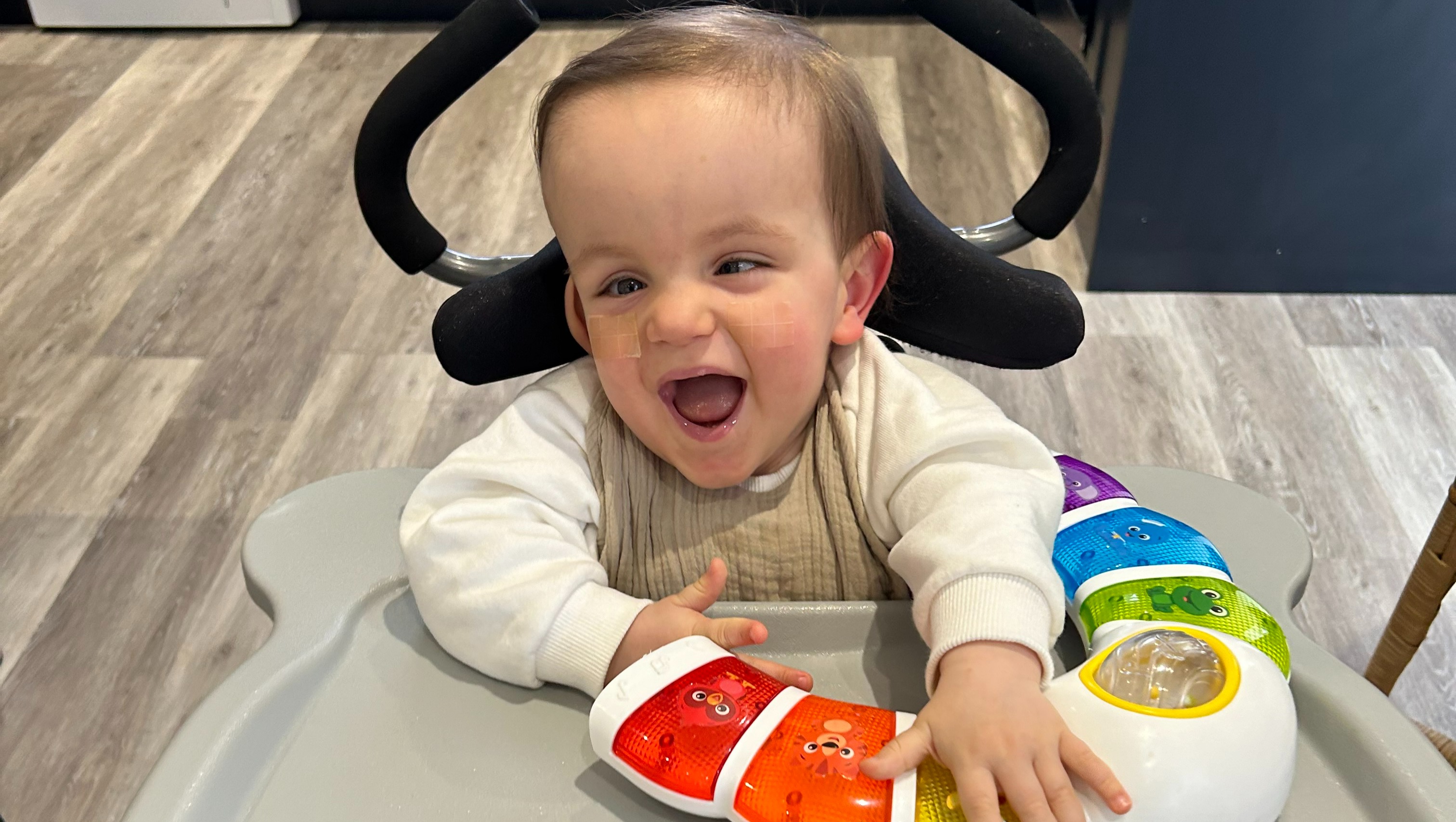 Fundraiser by Ellis Birchall : Arlo's World