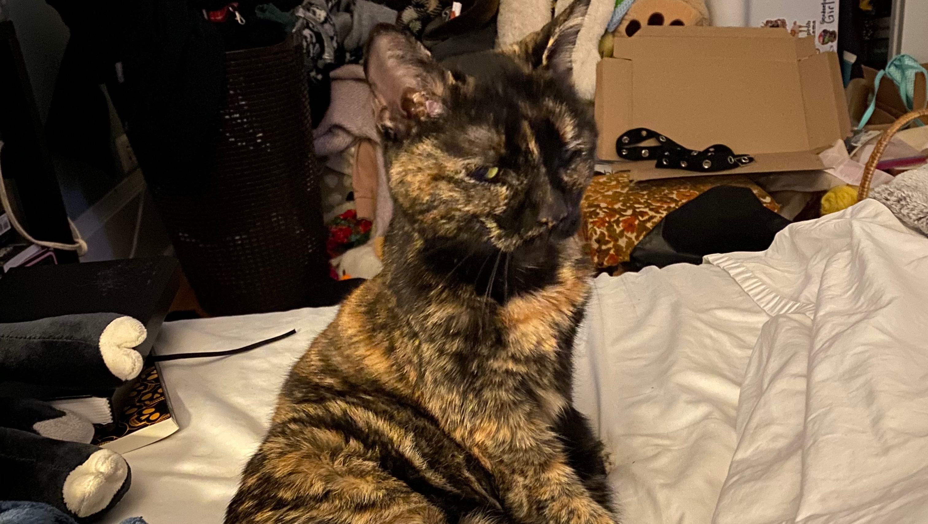 Fundraiser by Magdelana Lanoue : Help Dawn and Maggie memorialize their ...