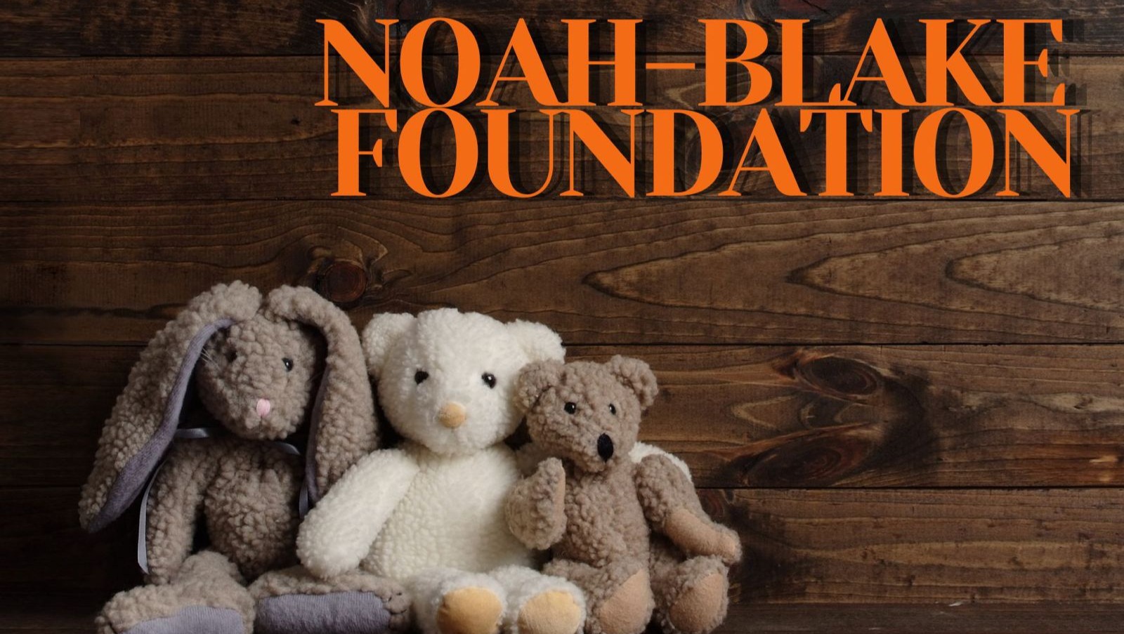 Fundraiser by Anastasia M Eddy : The Noah-Blake Foundation