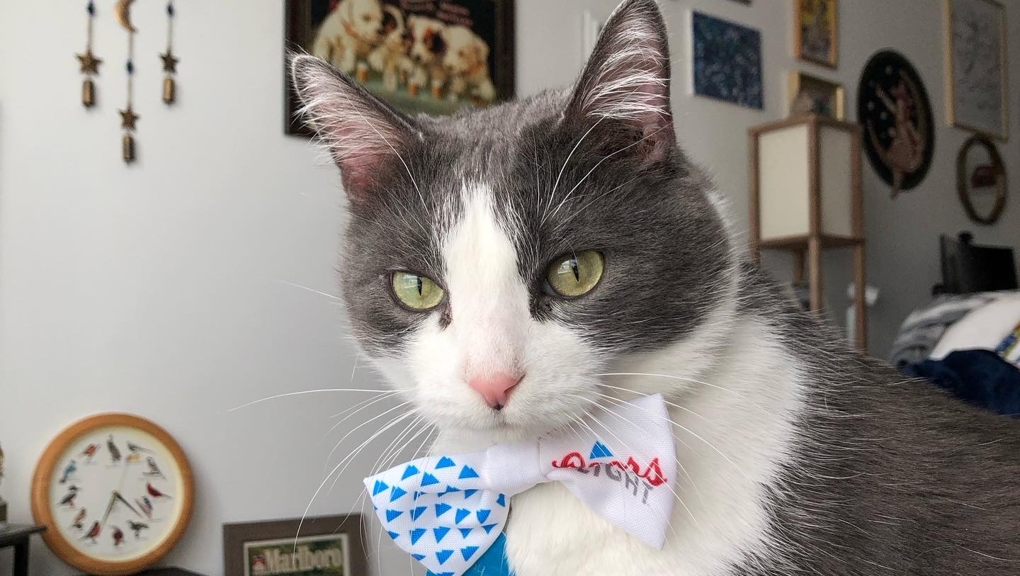 Fundraiser by Courtney Rhoden : Saving Toby: A Tale of Love, Hope, and ...