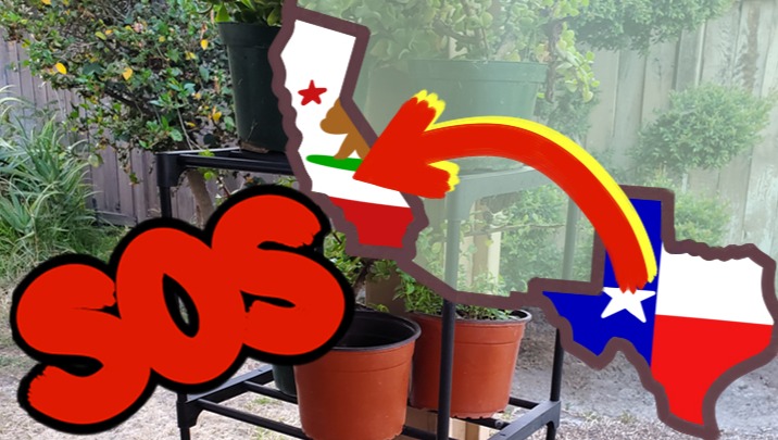 Fundraiser by Matthew Segovia : Help Disabled Transgirl Escape Abuse