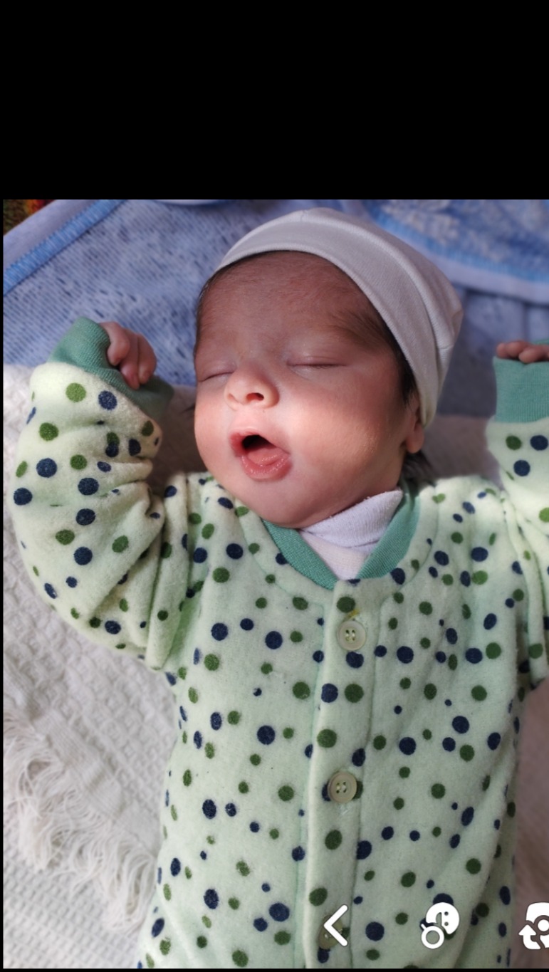 Fundraiser for Natalie Seibold by lama naser : Help lama s’ family ...