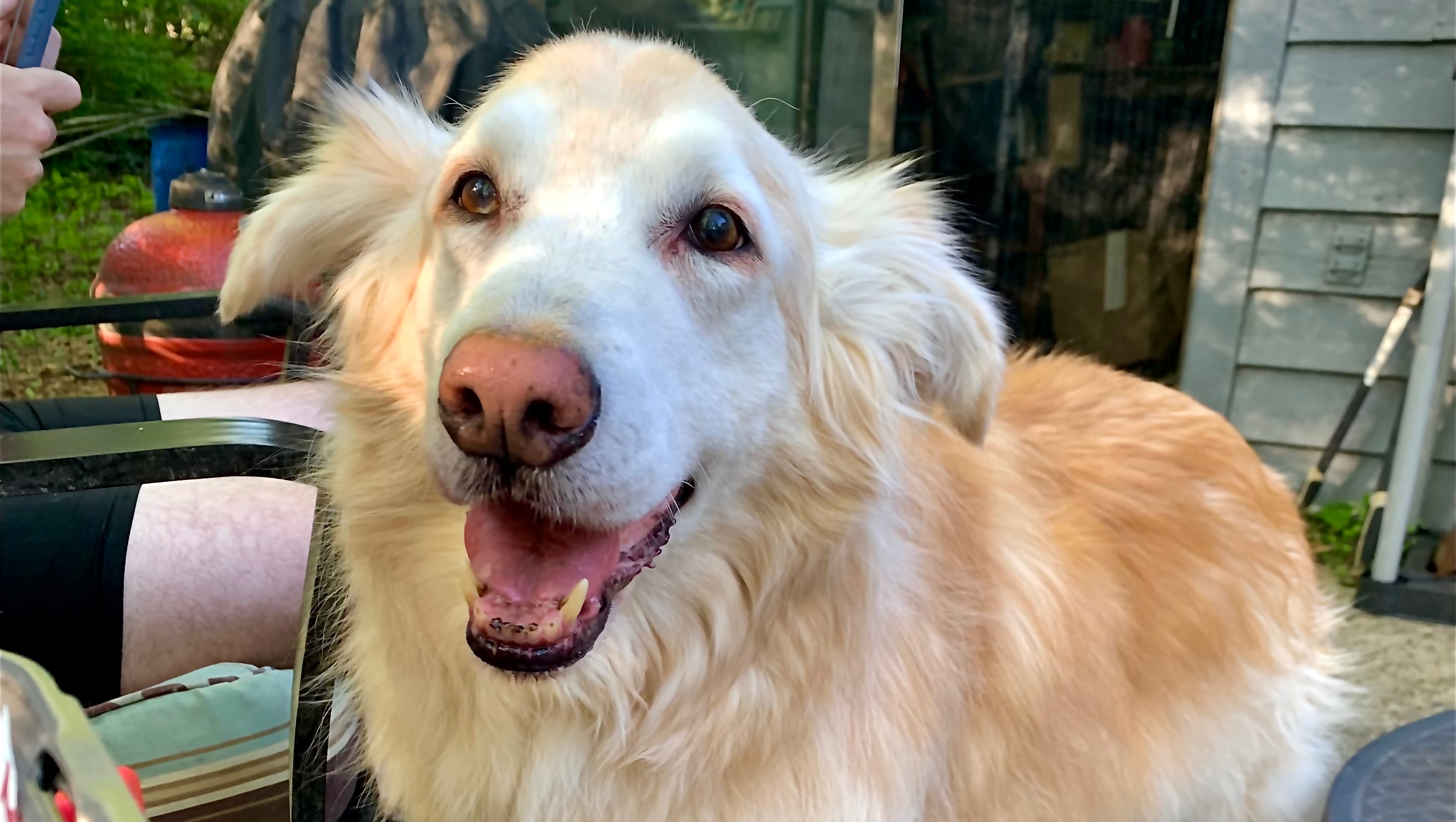 Fundraiser by Ashlee Stevenson : Support Beau's Unexpected Medical Journey